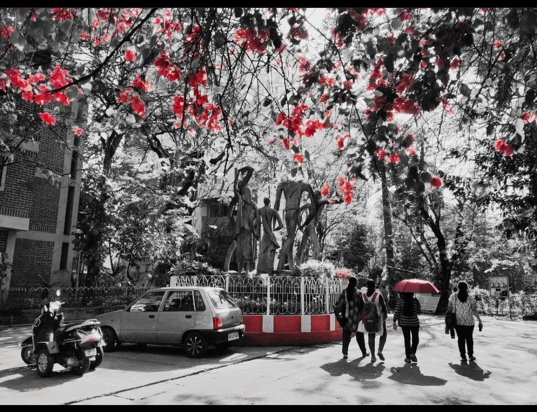 University Website Design